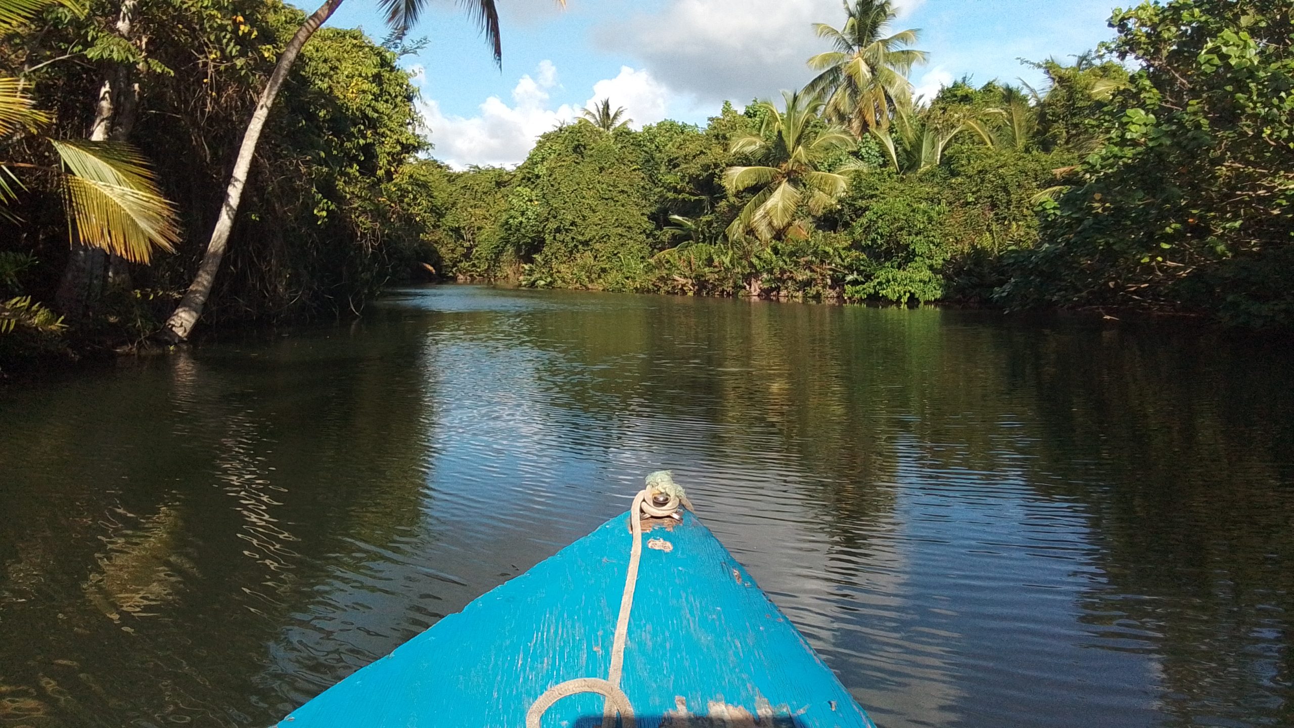 Dominica Tours & Taxi Service: Private Excursions Activities