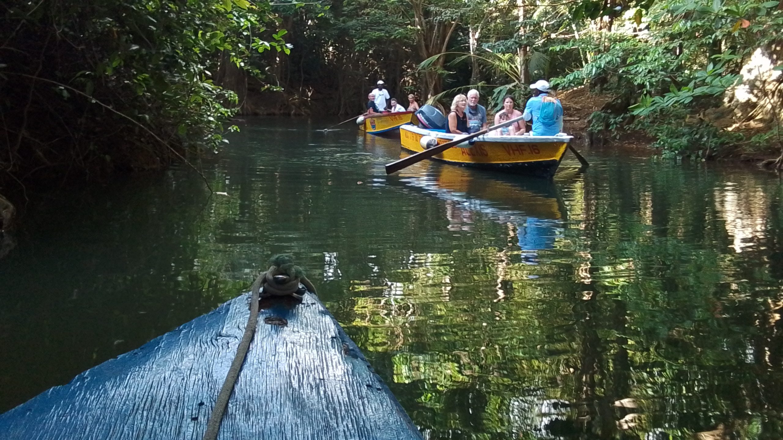 Dominica Tours & Taxi Service: Private Excursions Activities